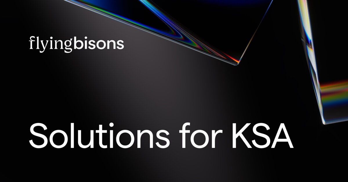 Flying Bisons in Saudi Arabia | Flying Bisons